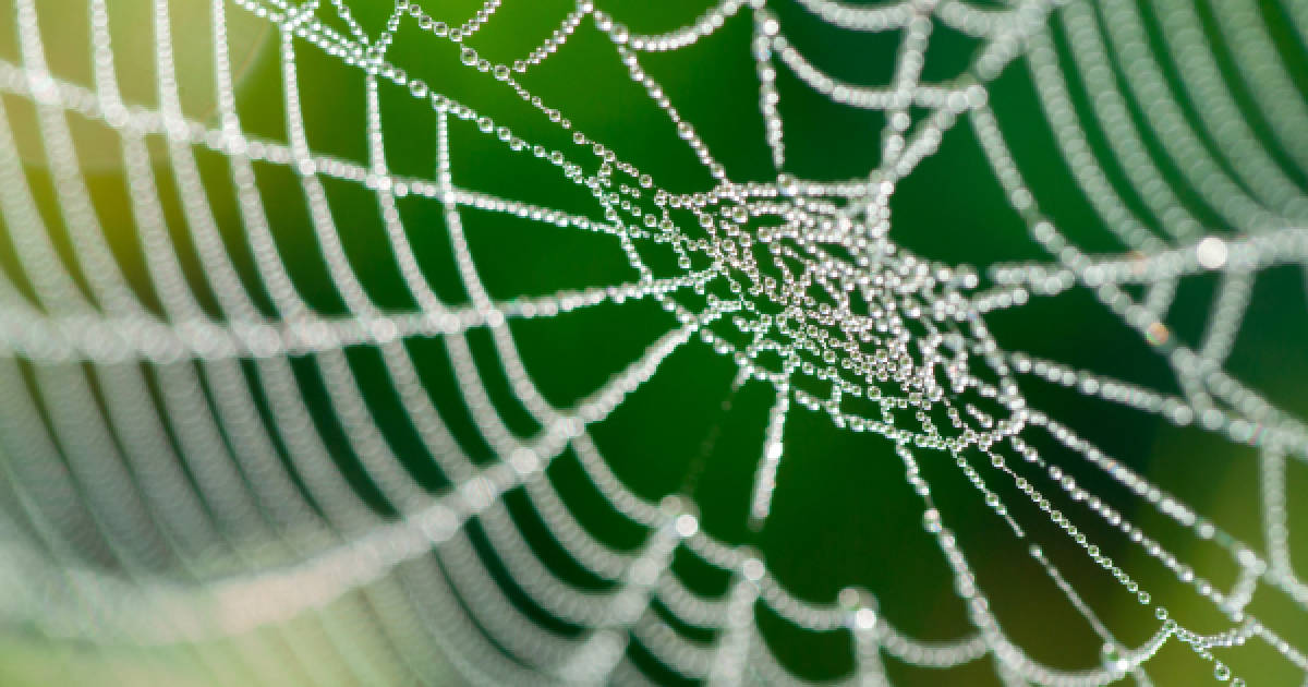 Michael Telecom baut Netzwerk für Händler - telecom-handel.de